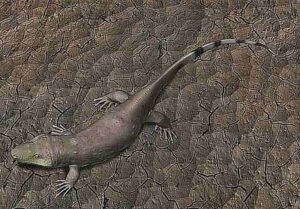 🥇 Imágenes y perfiles de reptiles prehistóricos - Maestros online 🥇